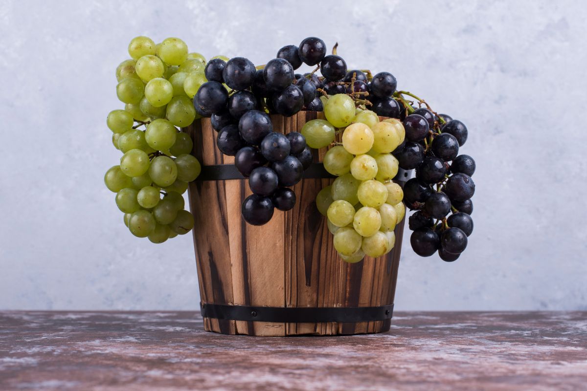 25 Naturally Blue Fruits – Unique, Nutritious & Beautiful!
