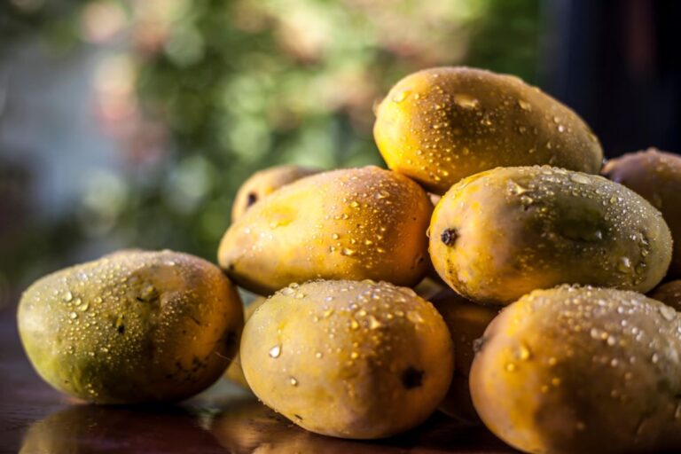25 Naturally Blue Fruits – Unique, Nutritious & Beautiful!