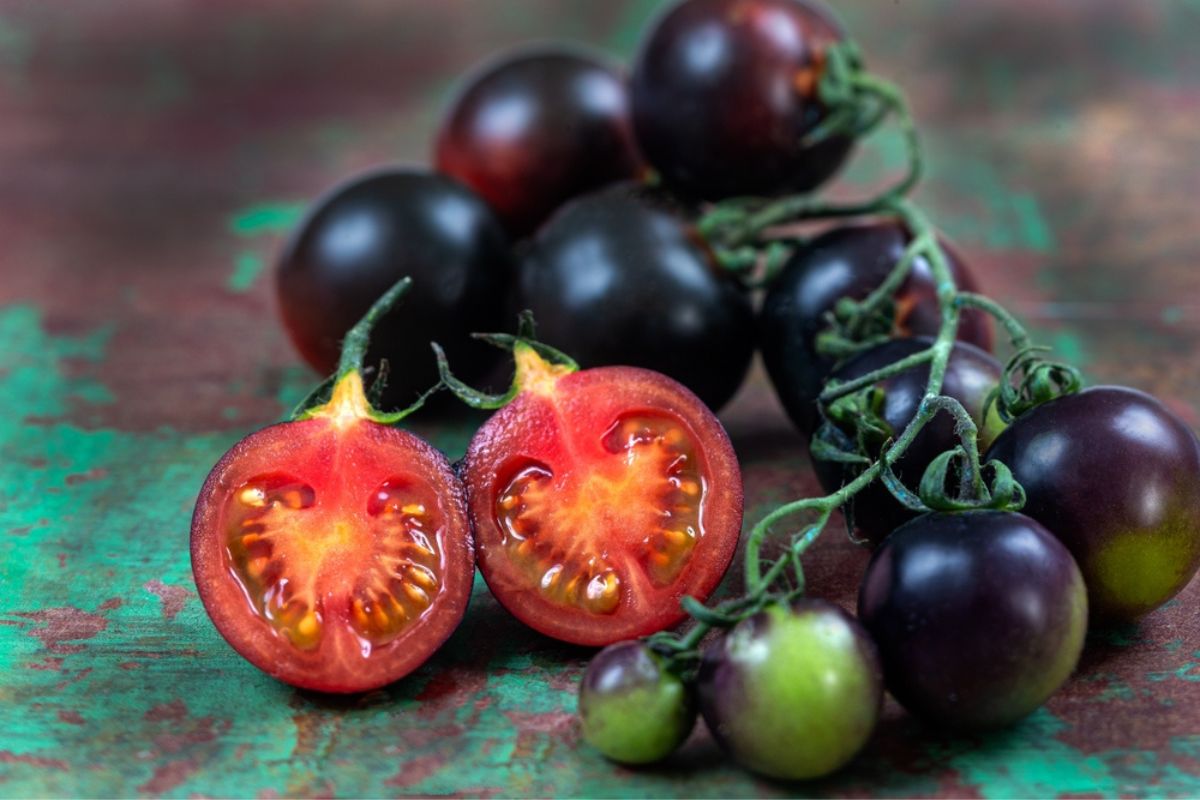 25 Naturally Blue Fruits – Unique, Nutritious & Beautiful!
