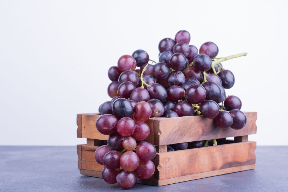 25 Naturally Blue Fruits – Unique, Nutritious & Beautiful!