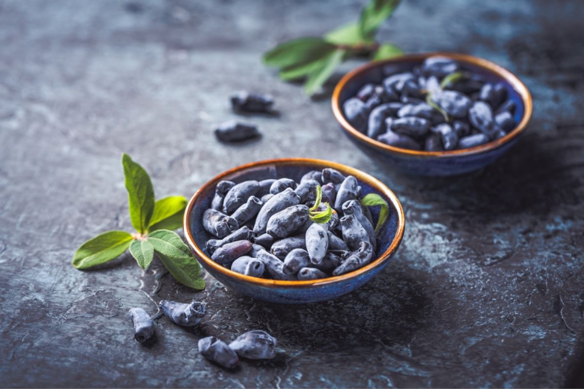 25 Naturally Blue Fruits – Unique, Nutritious & Beautiful!